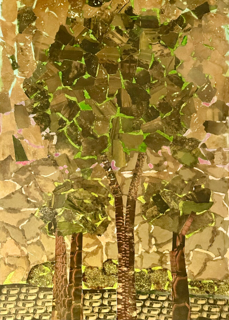 Tree Collage – Michael McManmon, Ed. D.