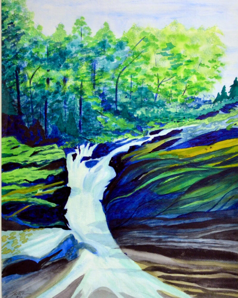 Forest Waterfall – Michael McManmon, Ed. D.